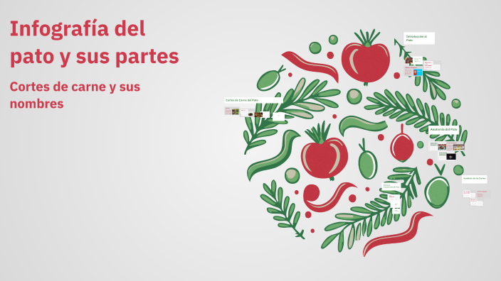 Infografía del pato y sus partes by ROBERTO DANIEL DAVILA MARQUEZ on Prezi