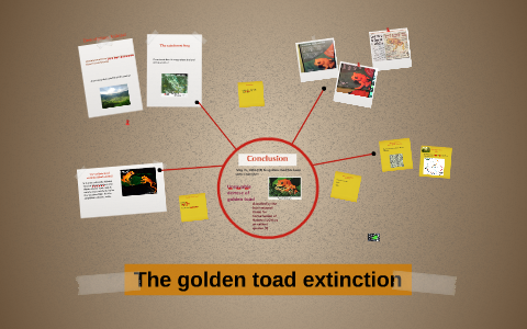 The golden toad extinguished animal by yostin poveda on Prezi
