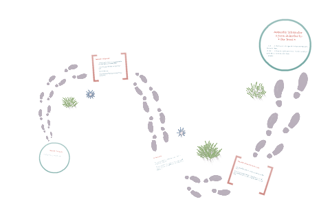 Anapestic Tetrameter and the Lorax by Tracy Woodward on Prezi