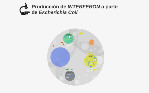Producción de INTERFERON a partir de ESCHERICHIA COLI by Florencia ...