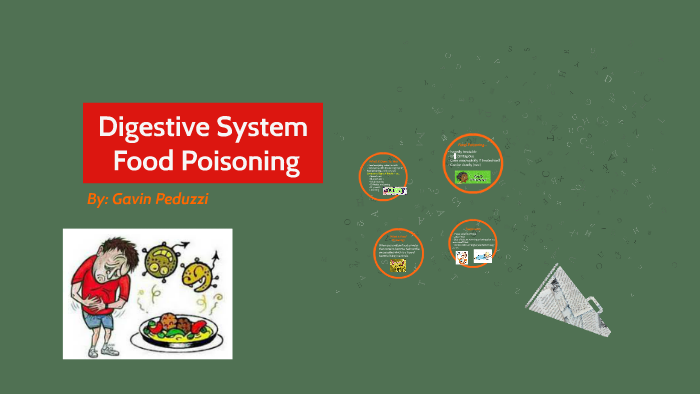 Digestive System- Food Poisoning by Gavin Peduzzi on Prezi