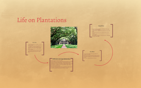 Life on Plantations by on Prezi