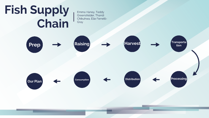 Fish Supply Chain by Elliott Ferretti-Gray on Prezi