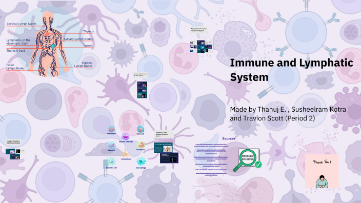 Understanding the Immune and Lymphatic System by T E on Prezi