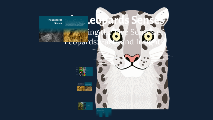 The Leopards Senses by Thomas John Brown Fernandez on Prezi