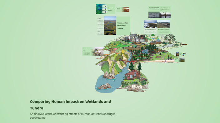 Comparing Human Impact on Wetlands and Tundra by William Veres on Prezi