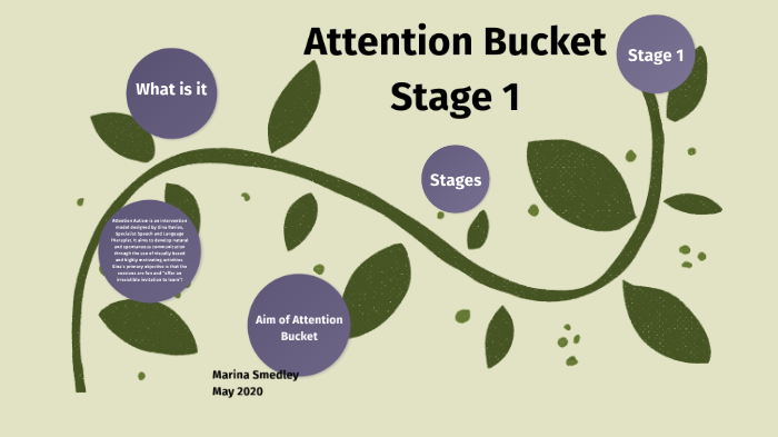 Attention Bucket Stage 1 by Marina Smedley on Prezi