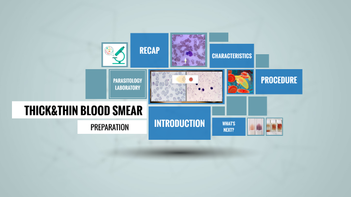 Thick and Thin Blood Smear Preparation by Ercaiii Mcbngkl on Prezi