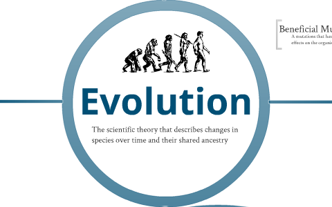 Evolution Mind Map by Alex Gibbons