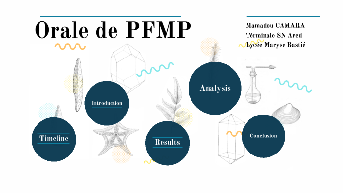 Rapport PFMP by Mamadou Camara on Prezi