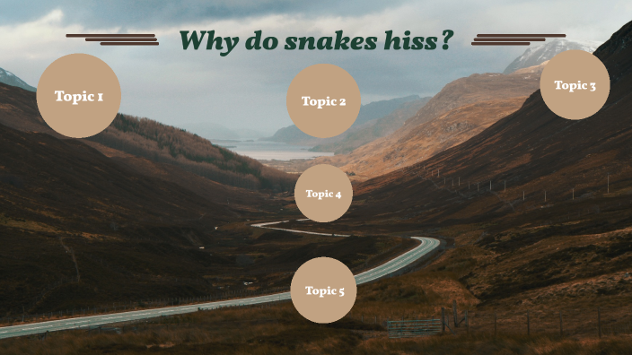 Why do snakes hiss? by Ben Baranes on Prezi