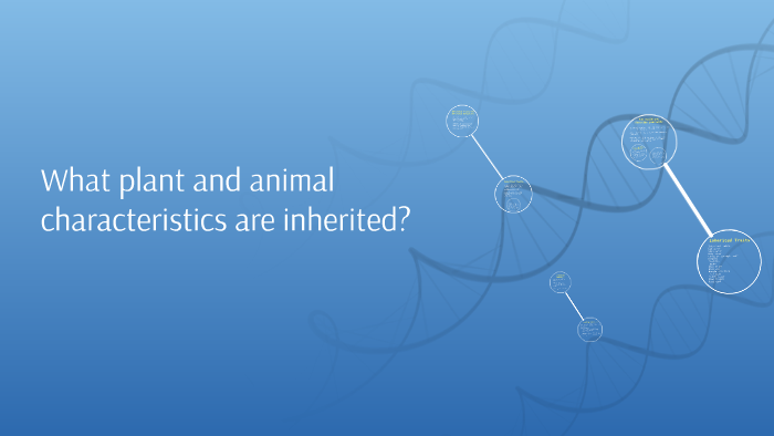 What plant and animal characteristics are inherited? by Rachel ...