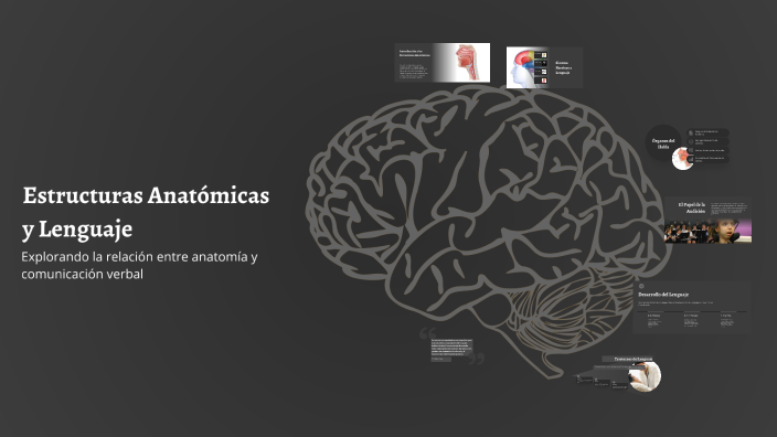 Estructuras Anatómicas y Lenguaje by DALIA FERNANDA JARAMILLO ARIZA on ...