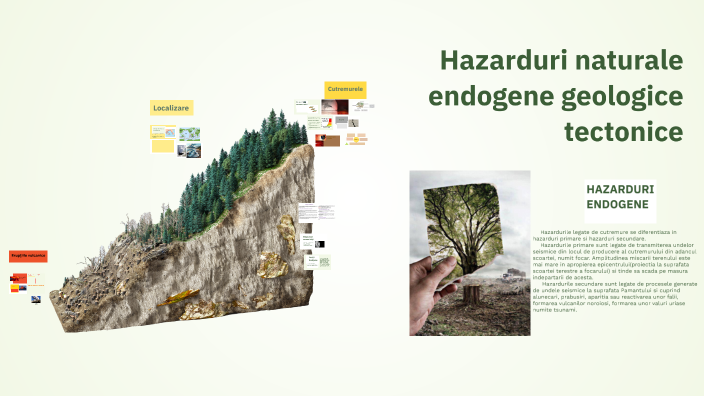 Hazarduri naturale endogene tectonice by Sofia Halip on Prezi