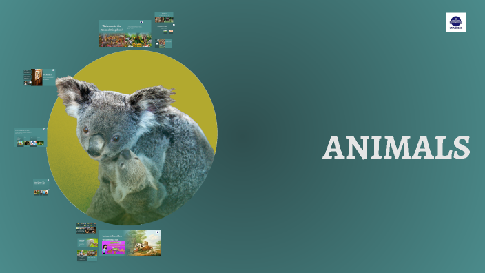 Exploring the Animal Kingdom: A Grade 1 Adventure by Anita Kamat on Prezi