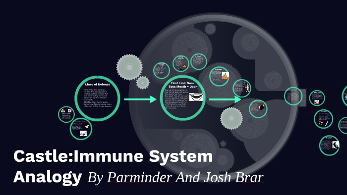 Castle:Immune System Analogy by Aaqib Khan on Prezi