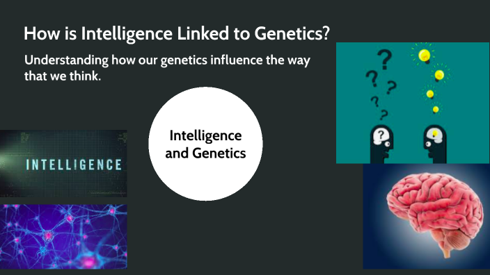 How is intelligence linked to genetics? by Marissa Hay on Prezi