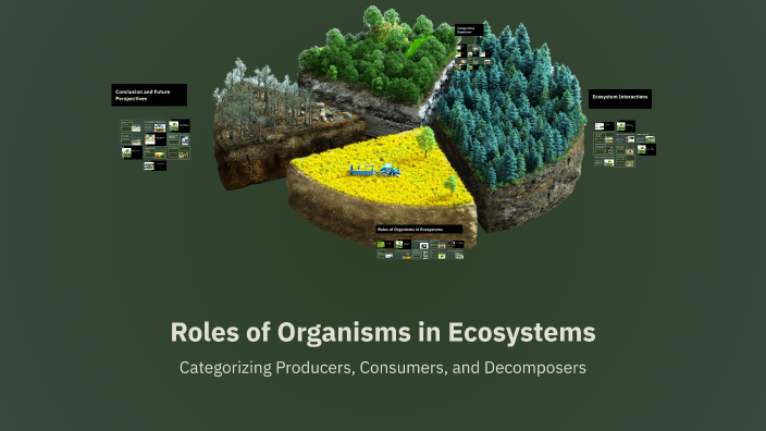 Roles of Organisms in Ecosystems by MARY FAITH ARUMBO on Prezi