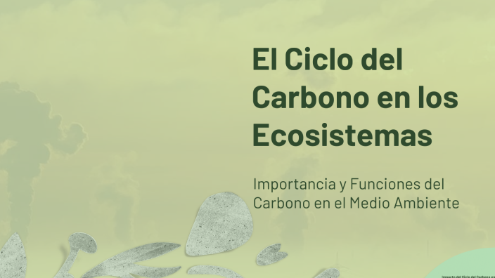 El Ciclo del Carbono en los Ecosistemas by Andrew Quezada on Prezi