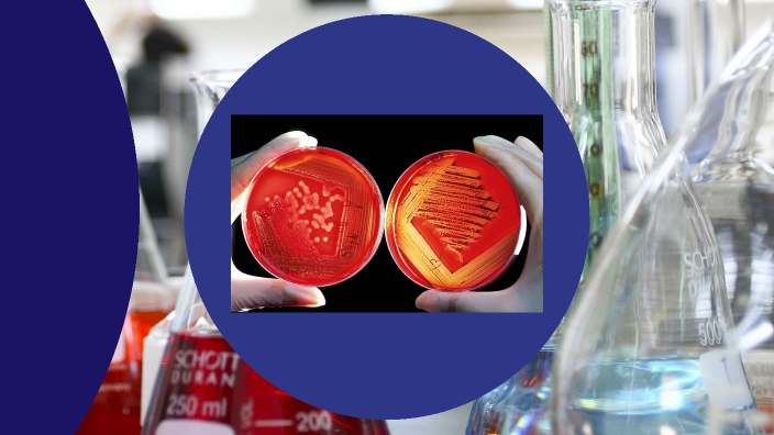 Презентация by Sia Kit on Prezi