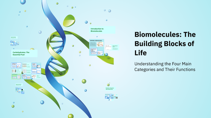 Biomolecules: The Building Blocks of Life by PulsE _makai on Prezi