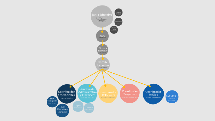 Organization Chart MMI by ZS · David Pinzón Alferez on Prezi