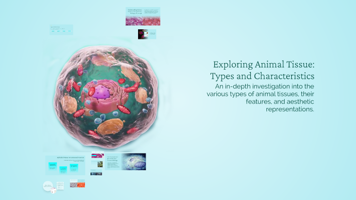 Exploring Animal Tissue: Types and Characteristics by Maanu on Prezi