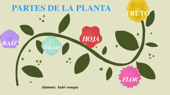 LAS PARTES DE LA PALNTA by Kalei Saloni Venegas Maucaylle