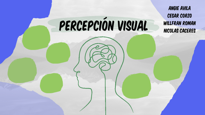 percepción visual-procesos psicológicos by angie avila on Prezi