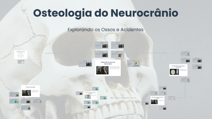 Osteologia do Neurocrânio by Letícia Tonetto on Prezi