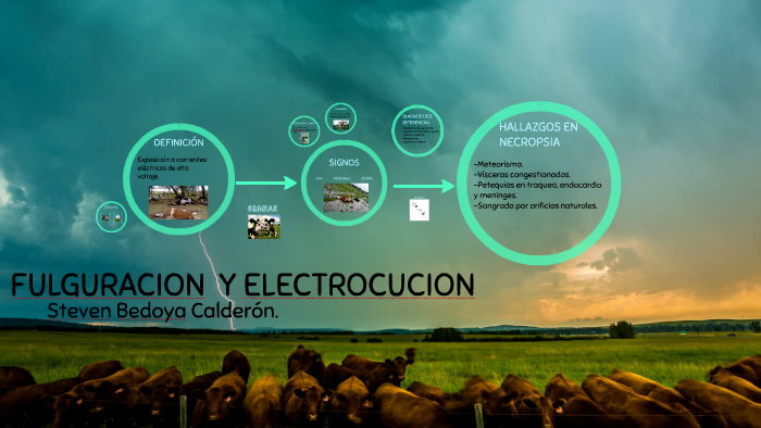FULGURACION Y ELECTROCUCION by Luisa Buitrago on Prezi