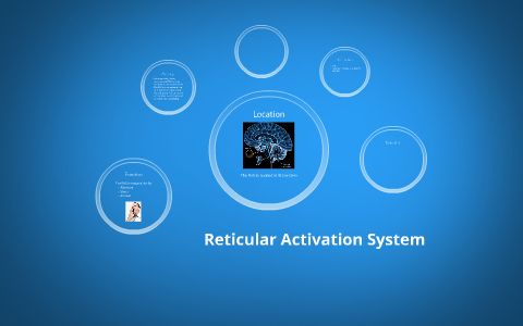 Reticular Activation System by on Prezi