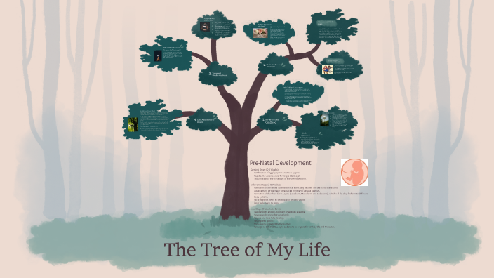 The Tree of My Life by mack56332 on Prezi