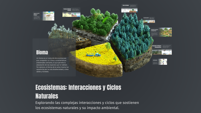 Ecosistemas: Interacciones y Ciclos Naturales by Carlos Ayala on Prezi