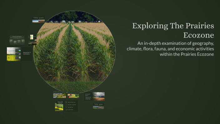 Exploring The Prairies Ecozone by Logan on Prezi