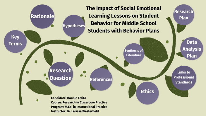 The Impact of Social Emotional Learning Lessons on Student Behavior for ...