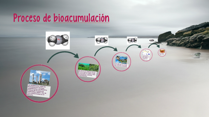 Proceso de bioacumulación by OLA KASE on Prezi