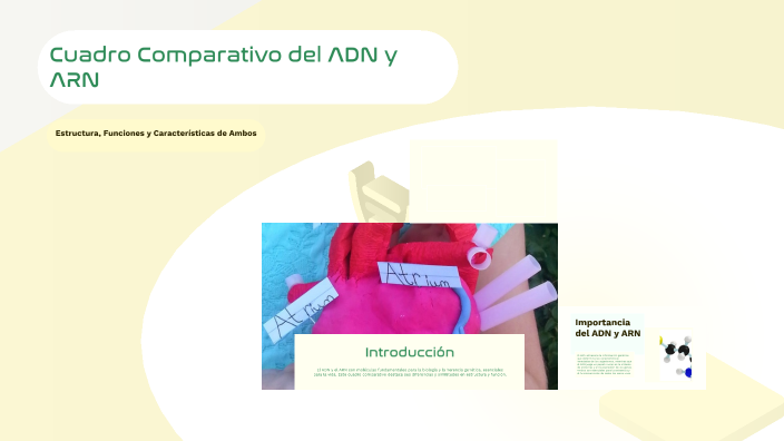 Cuadro Comparativo del ADN y ARN by Pedro Manuel Ortega Souto on Prezi