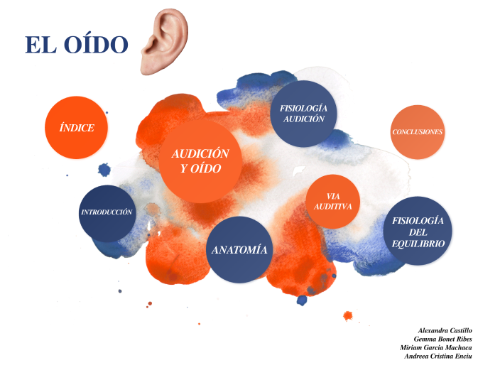 EL OÍDO by Andreea Enciu on Prezi