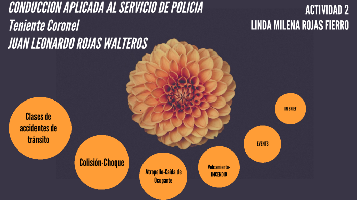 CONDUCCION APLICADA AL SERVICIO DE POLICIA Teniente Coronel JUAN ...