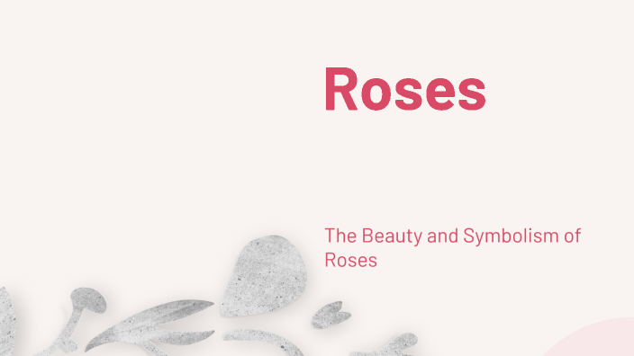 Roses by hajer alshatti on Prezi