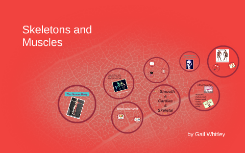 Skeletons and Muscles by Gail Whitley