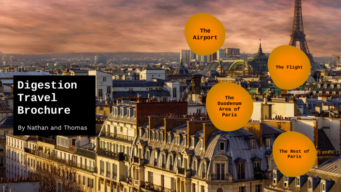 Digestion Travel Brochure by Nathan Barclay on Prezi