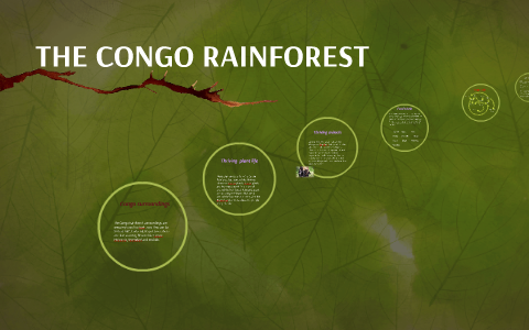 THE CONGO RAINFOREST by noal kenny on Prezi