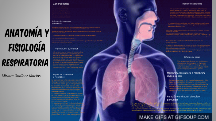 El aparato respiratorio by Miriam Godinez Macias on Prezi