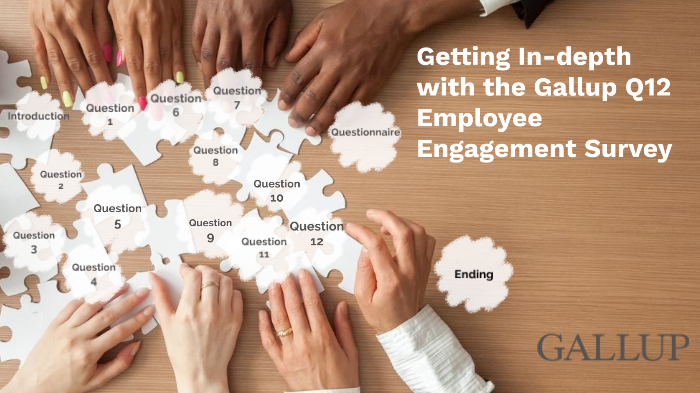 Gallup Q12 Employee Engagement by Rana Rahnamaie on Prezi