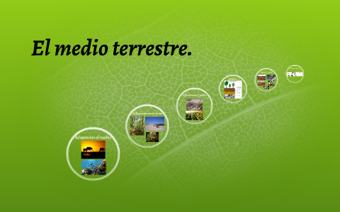 El medio terrestre. by Maria Salado on Prezi