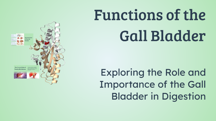 Functions of the Gall Bladder by Sangay Chophel on Prezi
