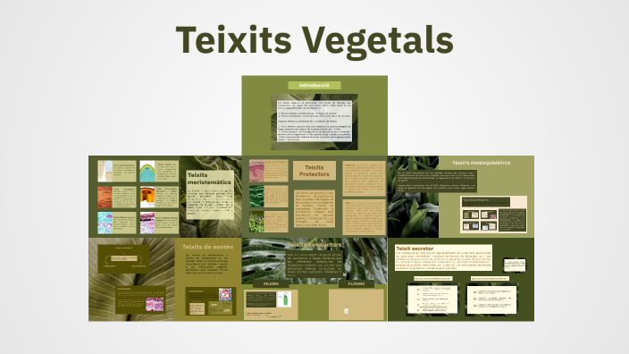 Teixits Vegetals by Lucía García del Castillo Coll on Prezi