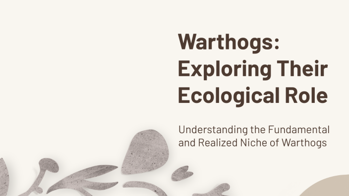 Warthogs: Exploring Their Ecological Role by Troy Brant on Prezi
